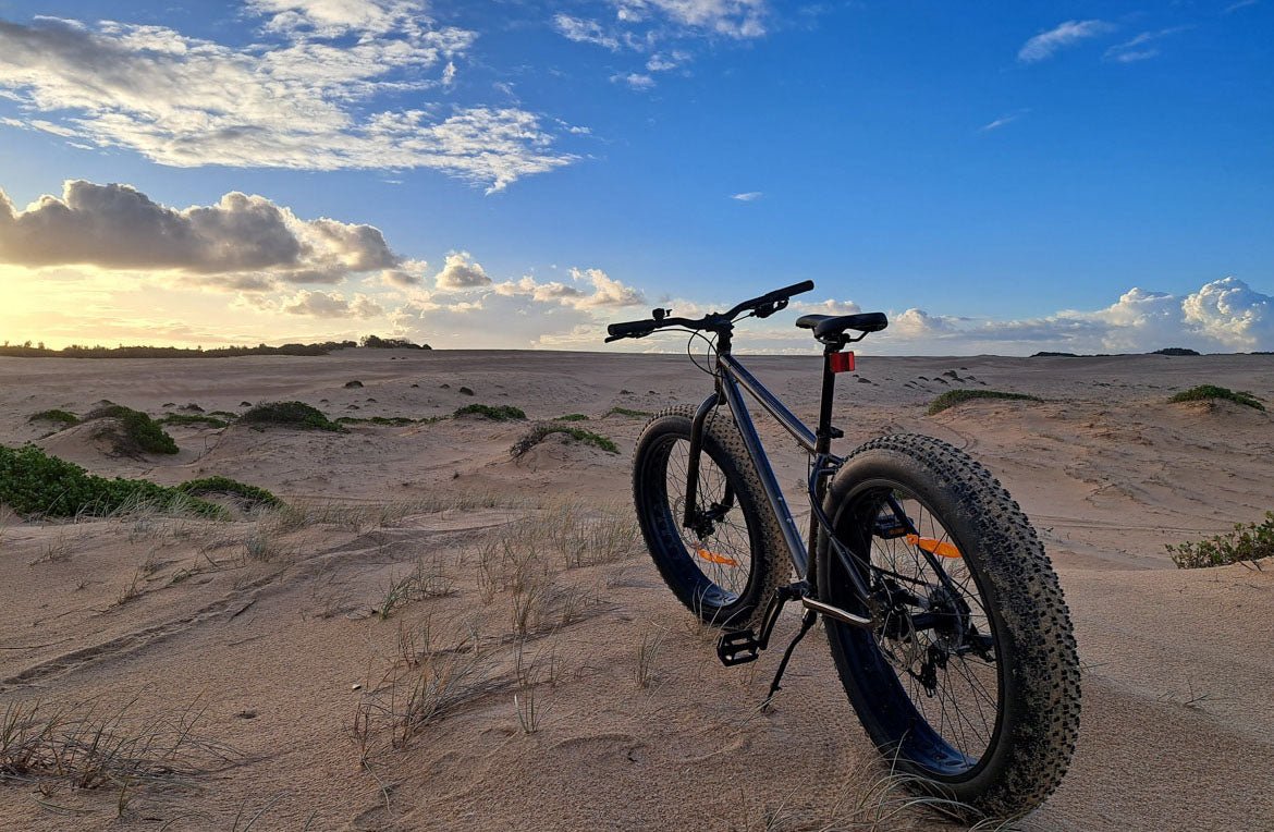 Alpha Fat Bike Army Green - Reid Bikes – Reid Bikes US