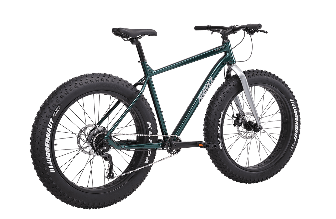 Hercules Fat Bike Dark Green - Reid Bikes – Reid Bikes US