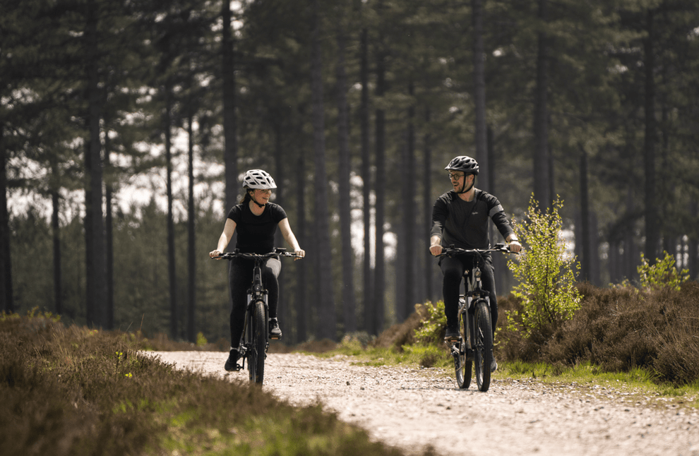Quest 2.0 32 KPH eBike MY24 Grey - Reid Bikes – Reid Bikes US