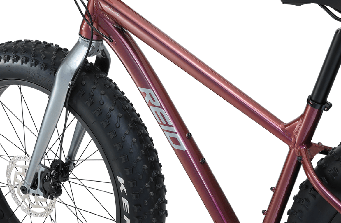 Zeus Carbon Fork Fat Bike Plum - Reid Bikes – Reid Bikes US